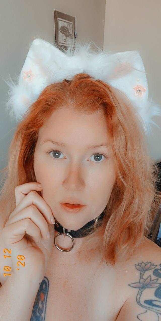 Big bad kitty | Scrolller