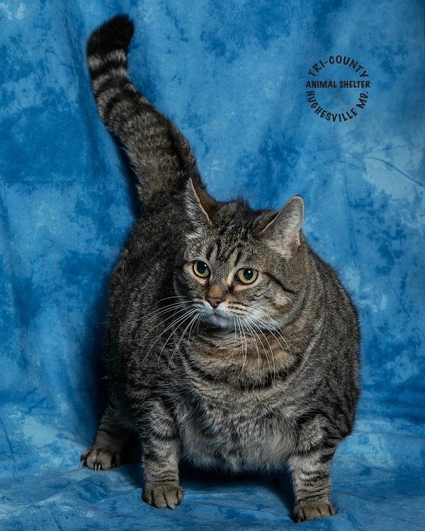 Big, Bold, Bodacious and now ADOPTED! | Scrolller