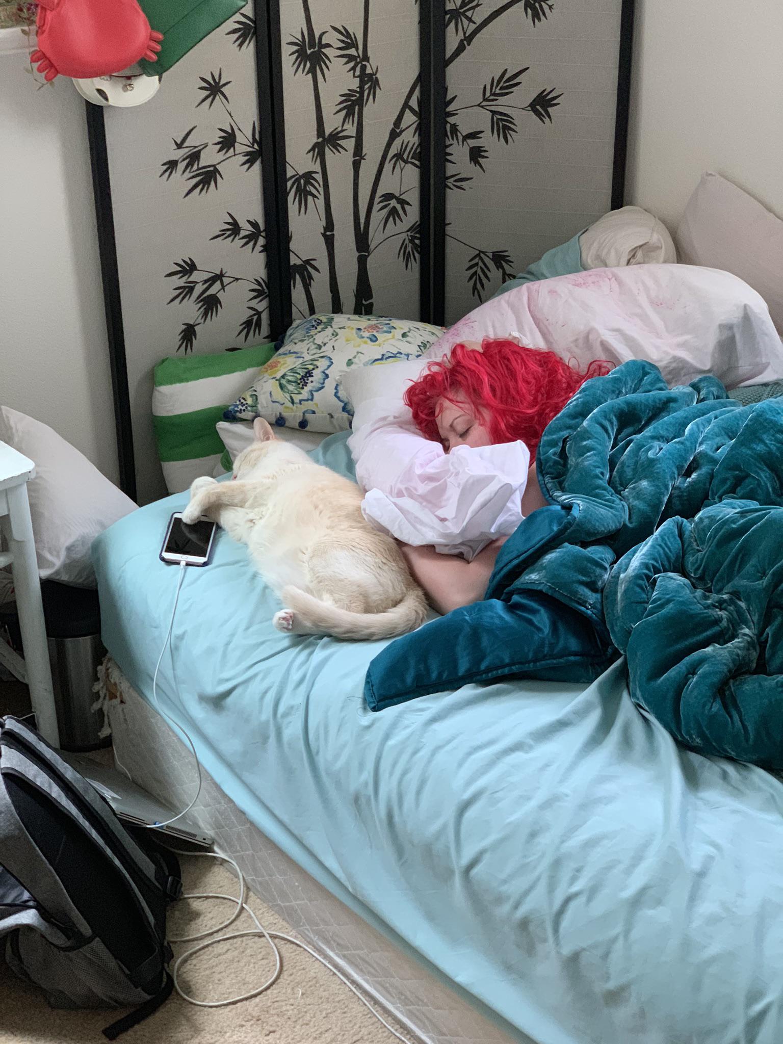 Big boye always hits the snooze button | Scrolller