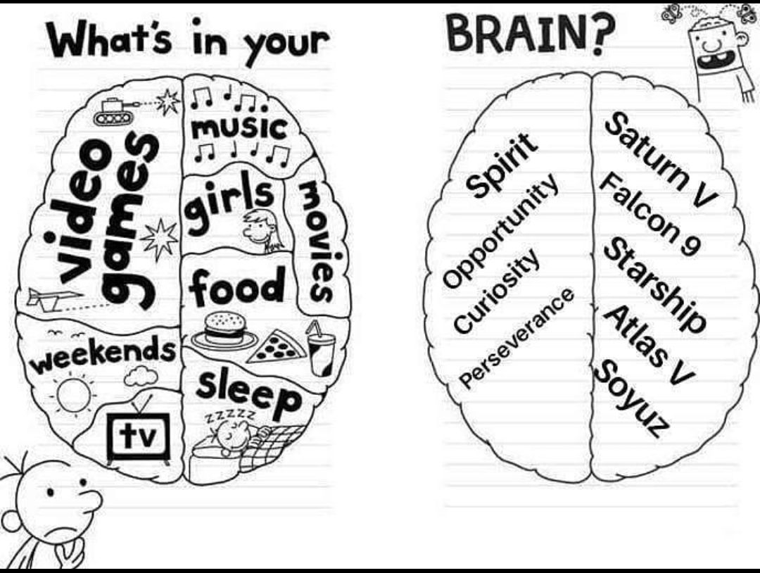 Big Brains Bro! | Scrolller