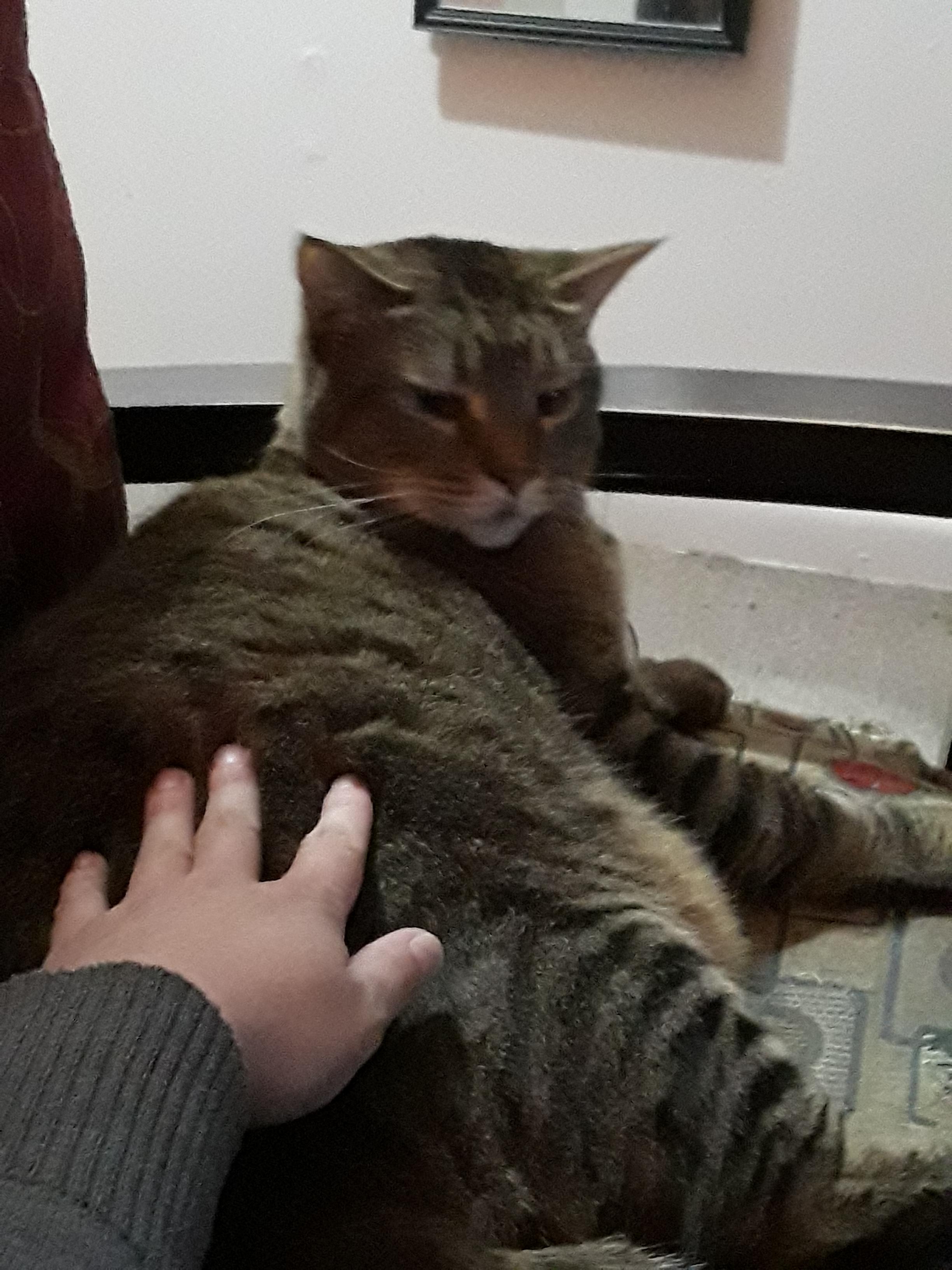 Big butt had to touch | Scrolller