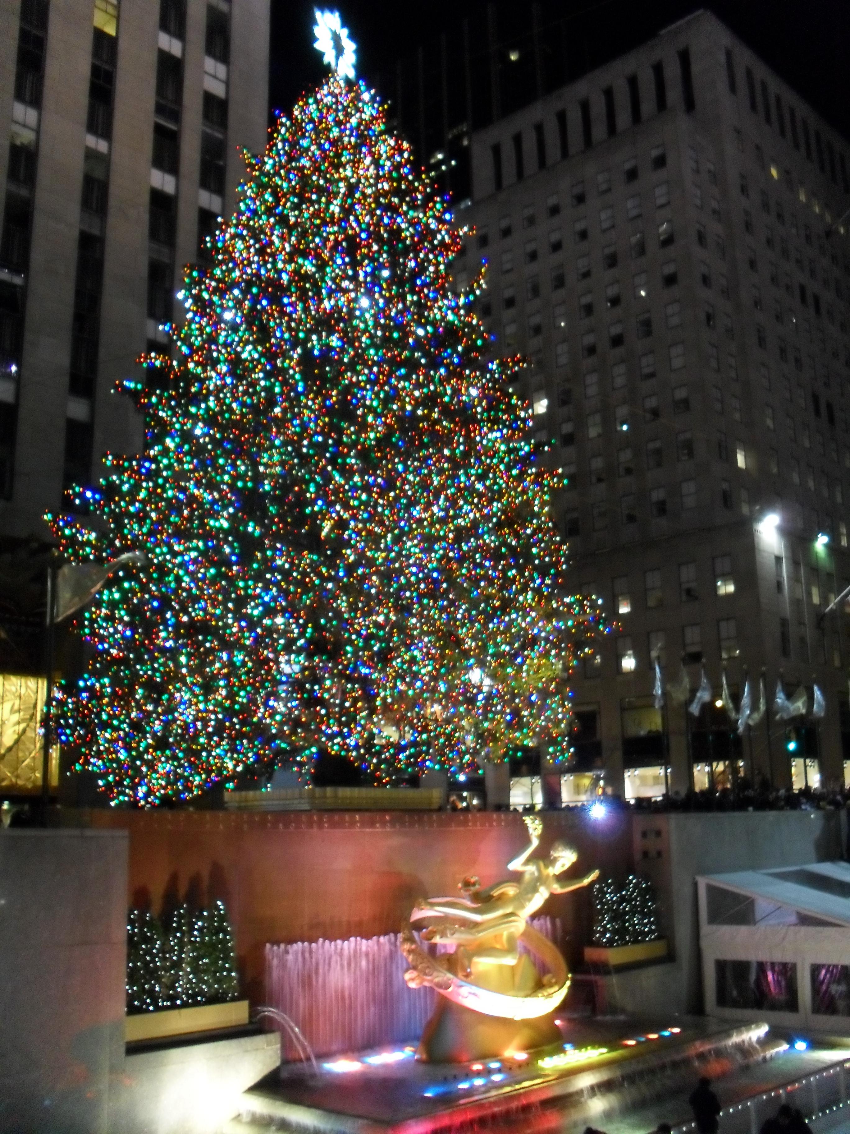 BIG Christmas tree at Rockefeller Center | Scrolller