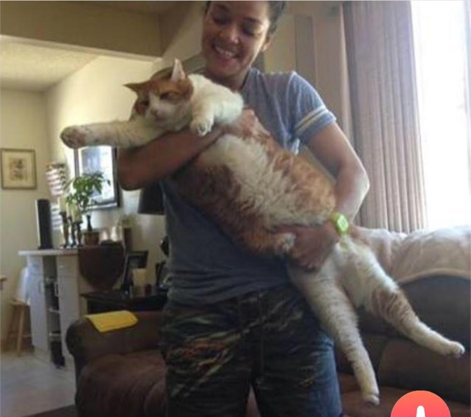 Big ole fatty | Scrolller