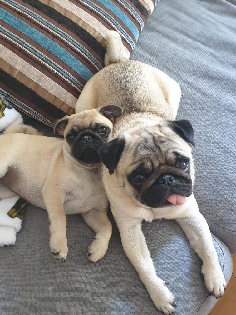 Big Sis & Lil Sis :) | Scrolller