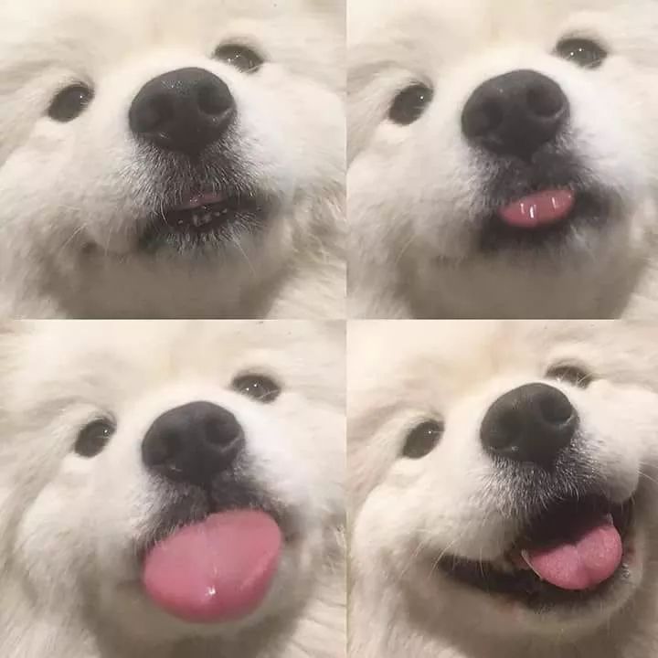 biggest blop | Scrolller