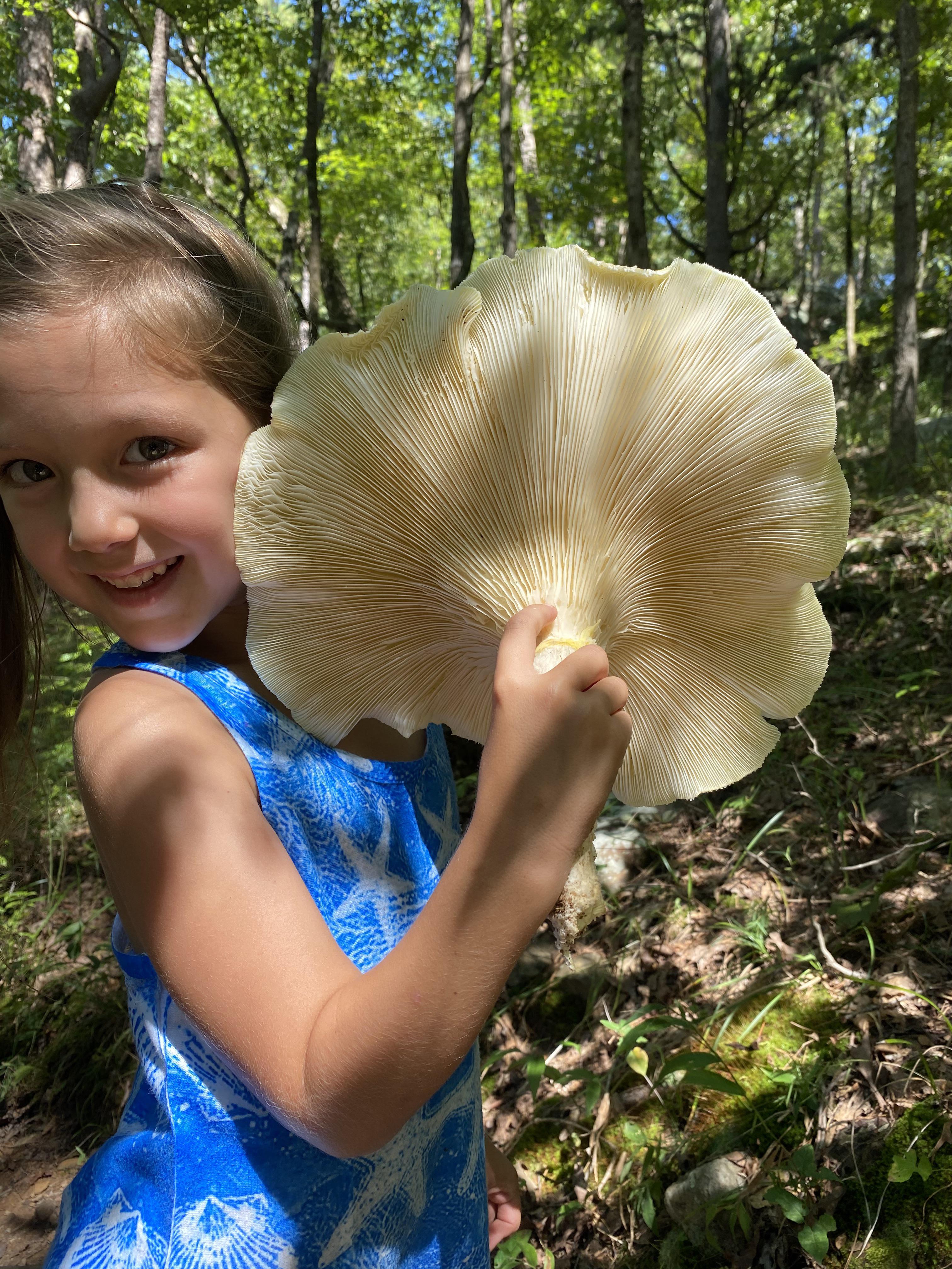 Biggest oyster ever. | Scrolller