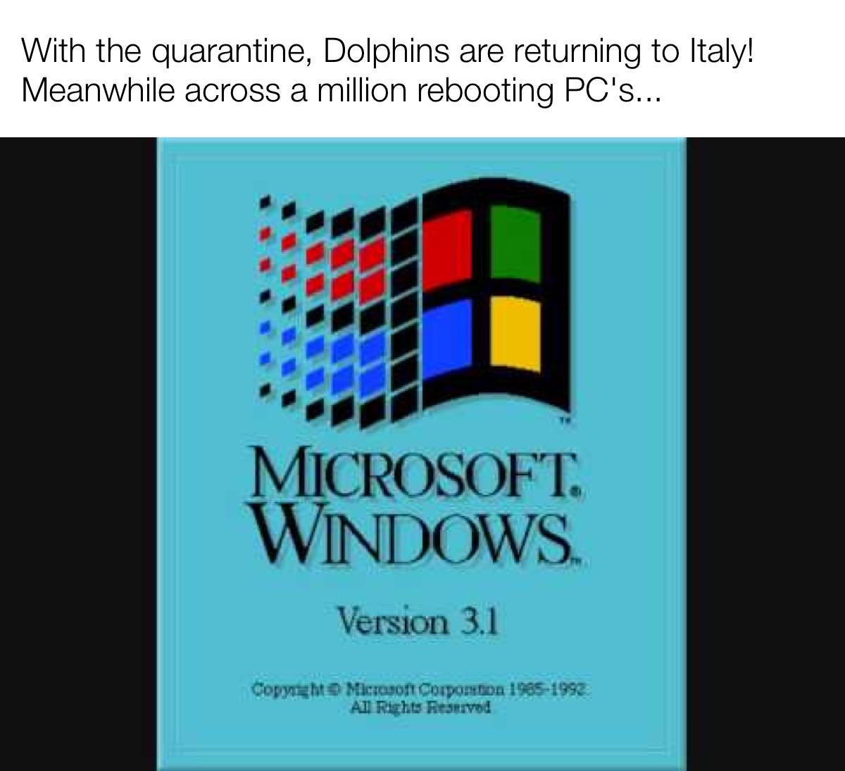 bing bing bong | Scrolller