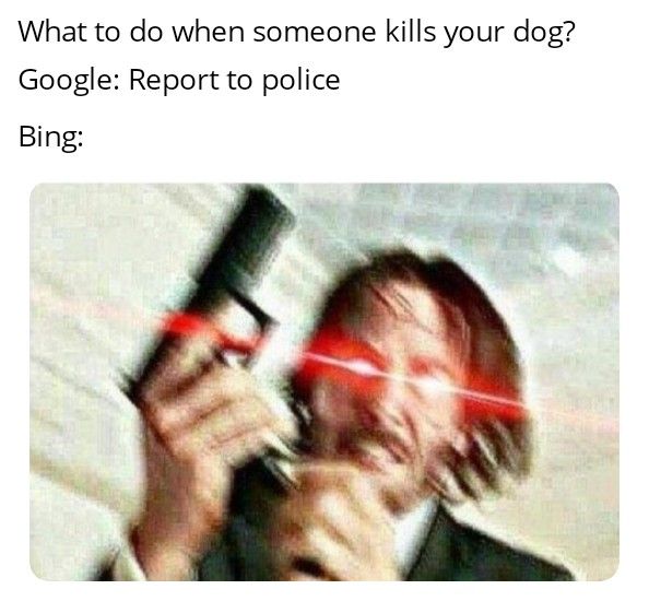 Bing not so bad | Scrolller