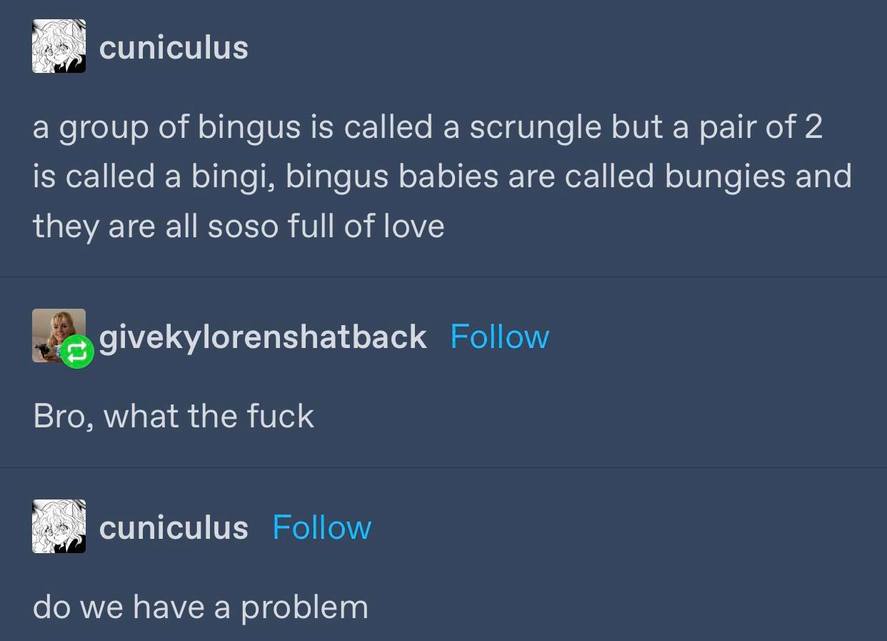 Bingus lore | Scrolller