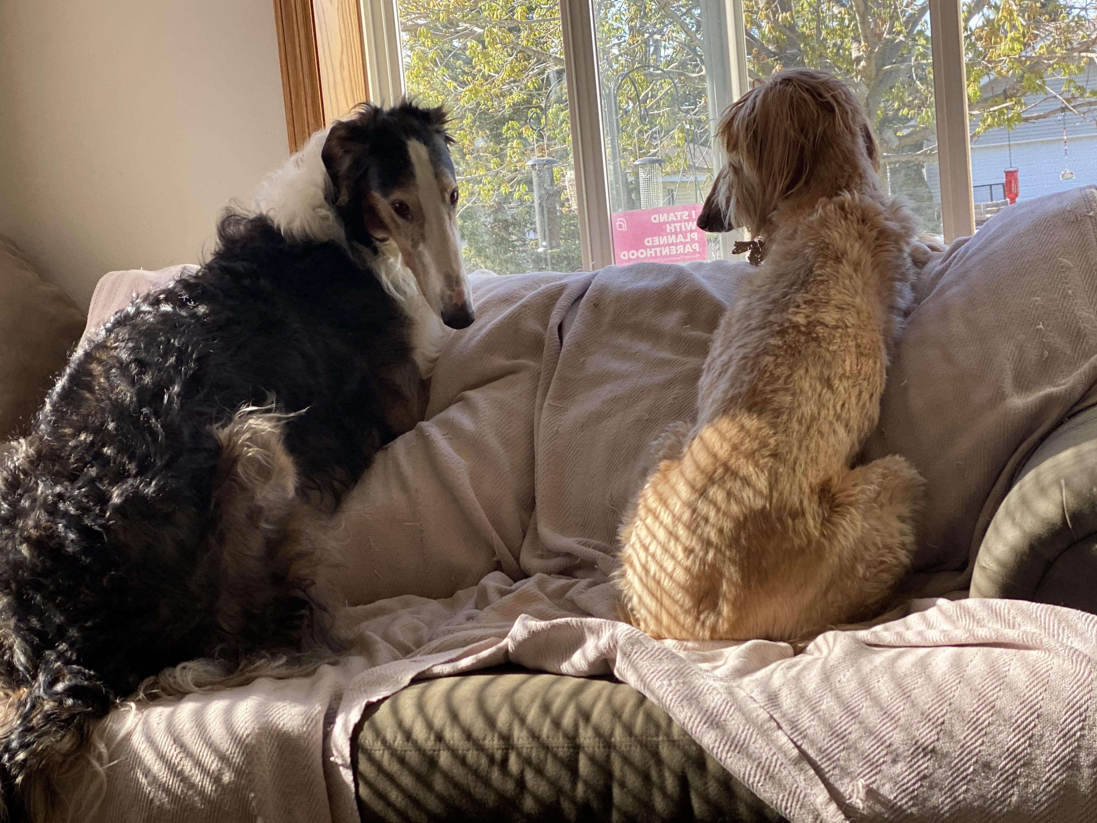 Bird watching. | Scrolller