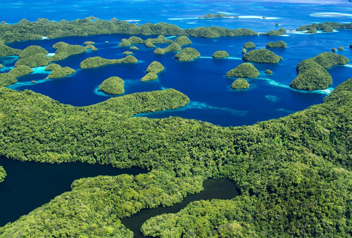 Bird's eye view | Scrolller