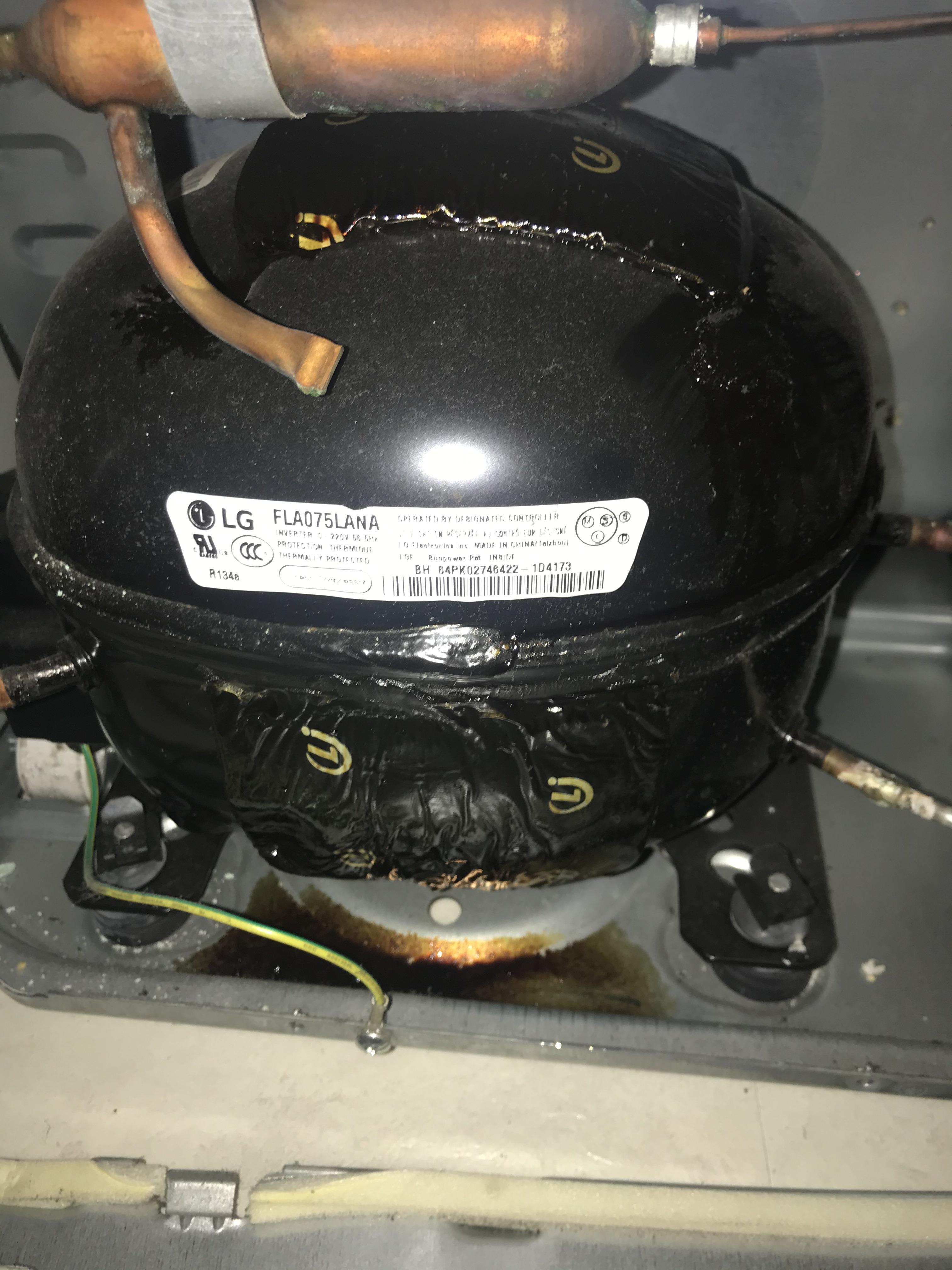 Black sticky leakage in the refrigerator. Is this normal? | Scrolller