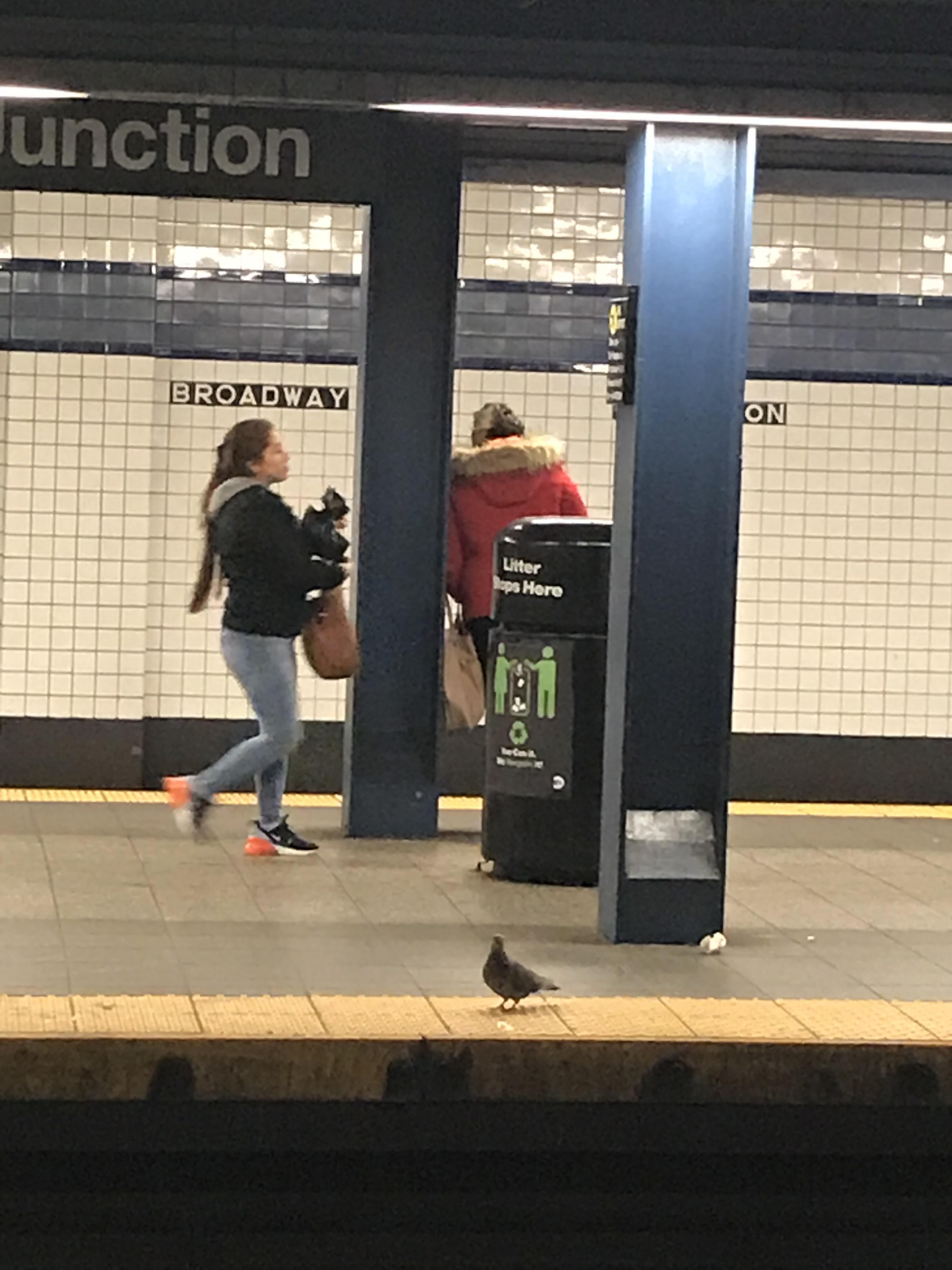 Blending in | Scrolller