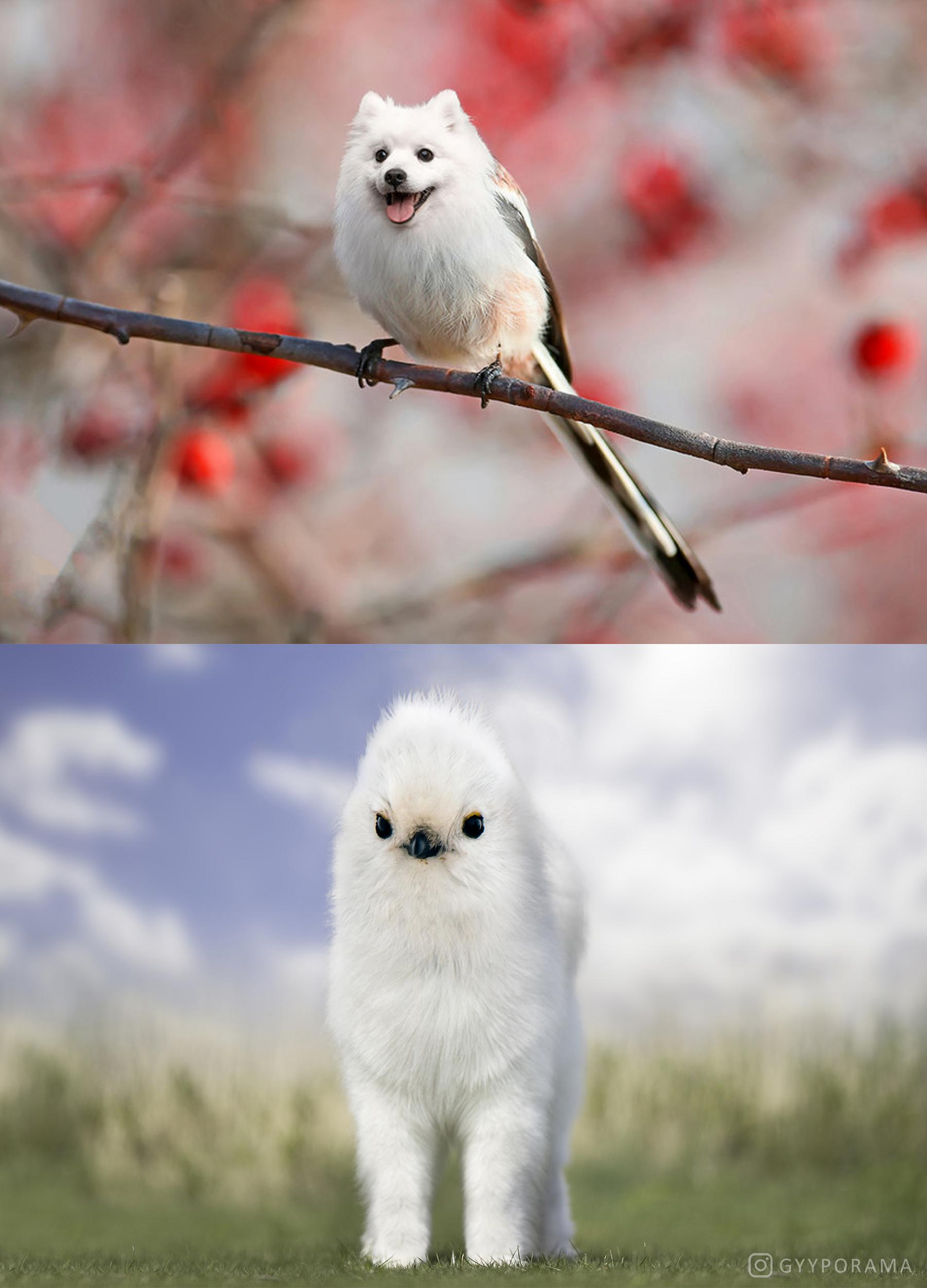 Blessed Faceswap | Scrolller