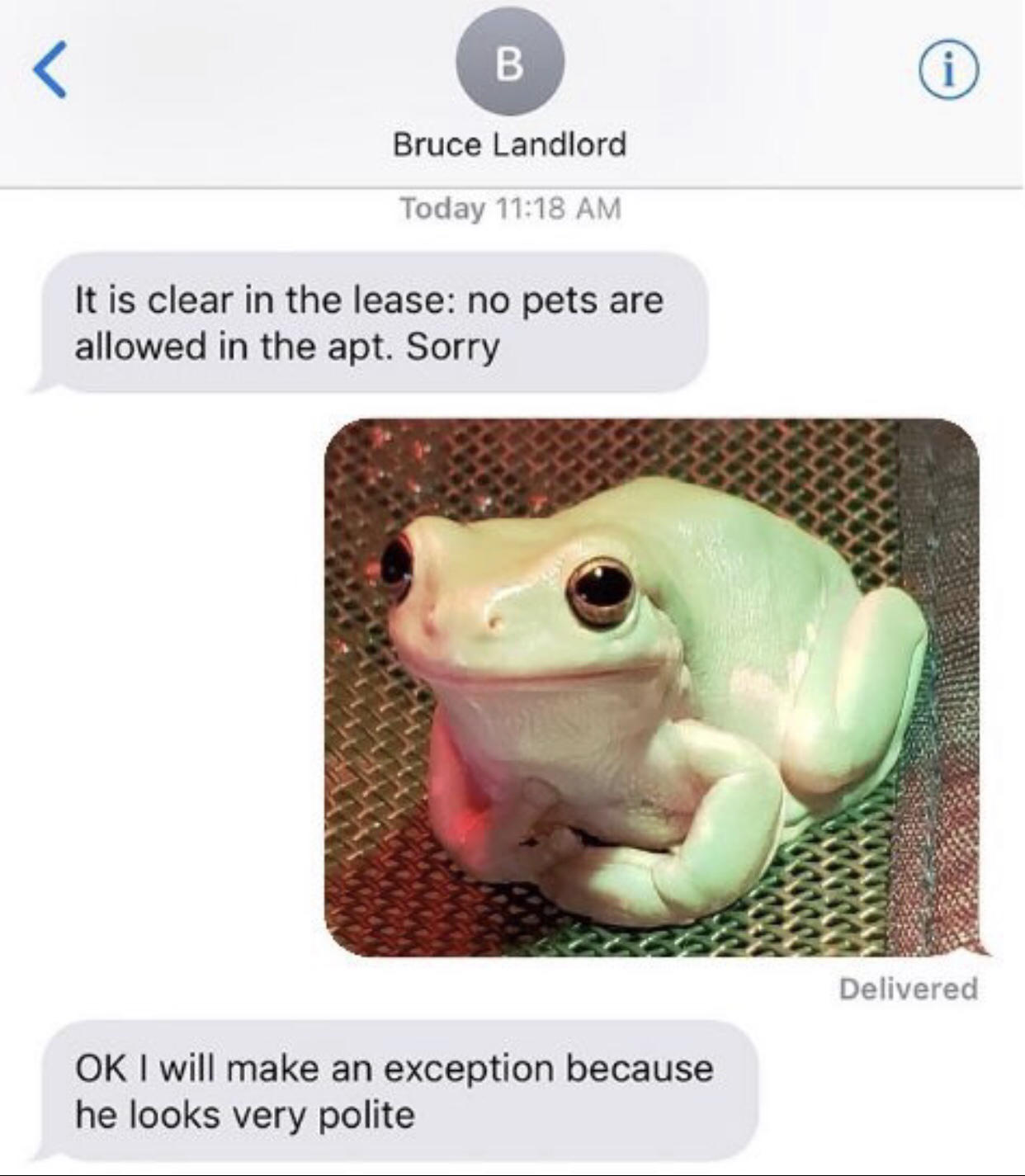 Blessed_Frog | Scrolller