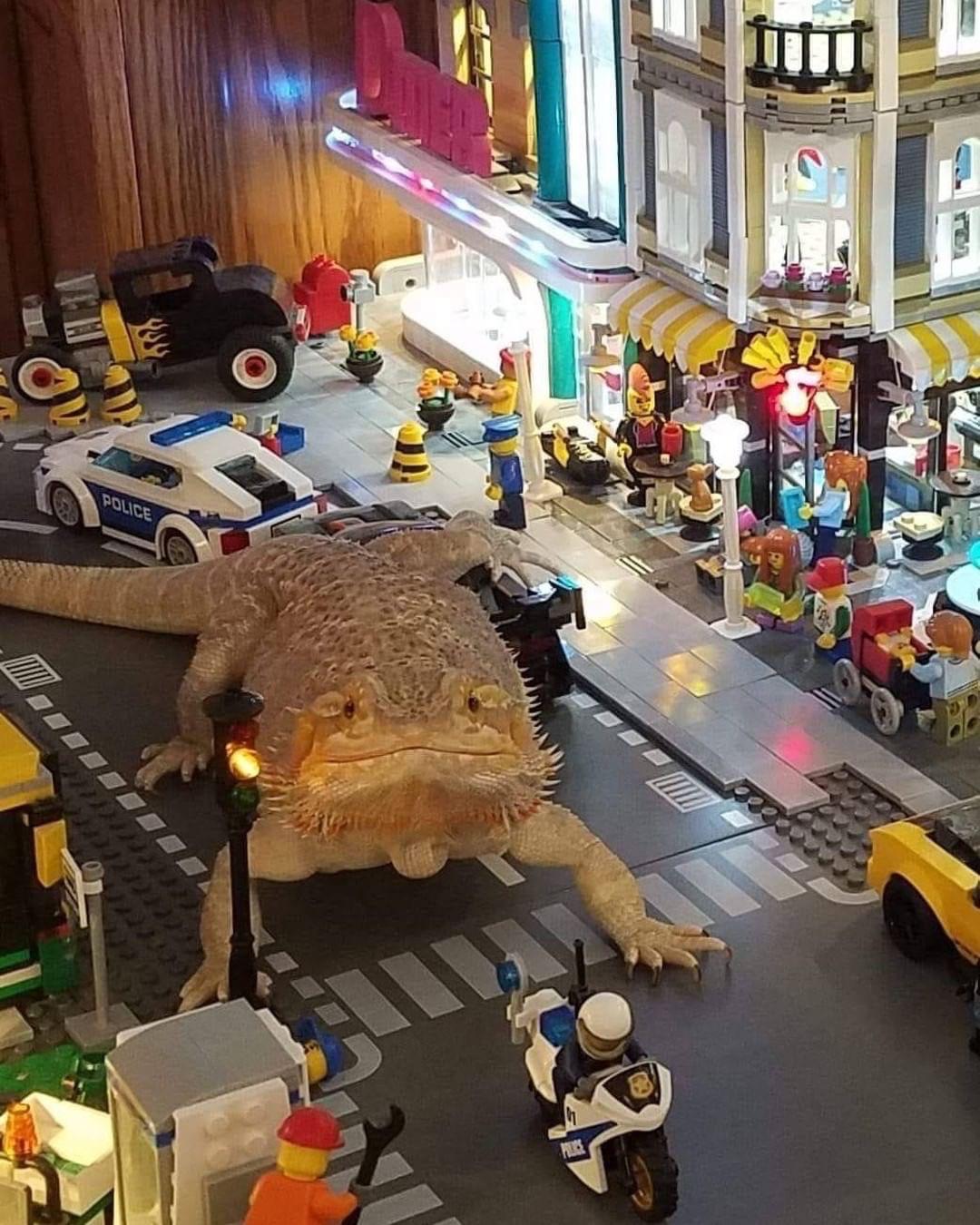 blessed godzilla | Scrolller