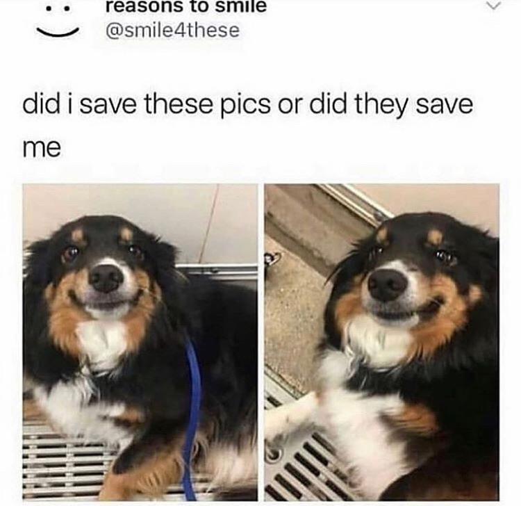 Blessed_save | Scrolller