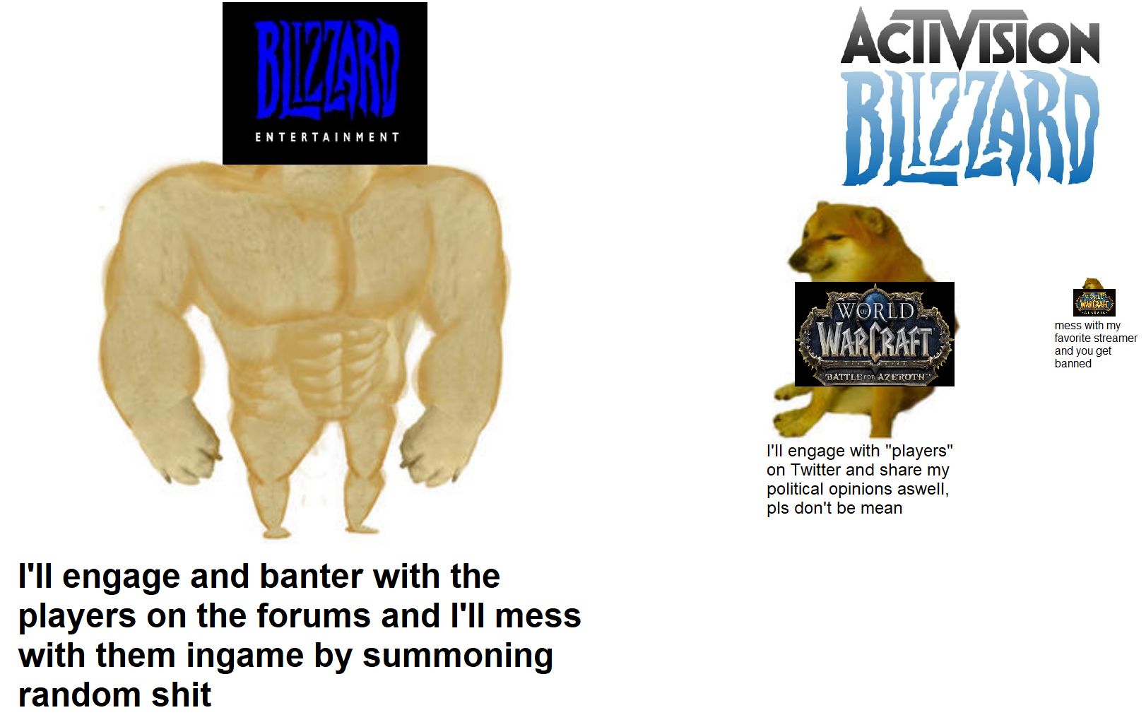 Blizzard interaction with players | Scrolller