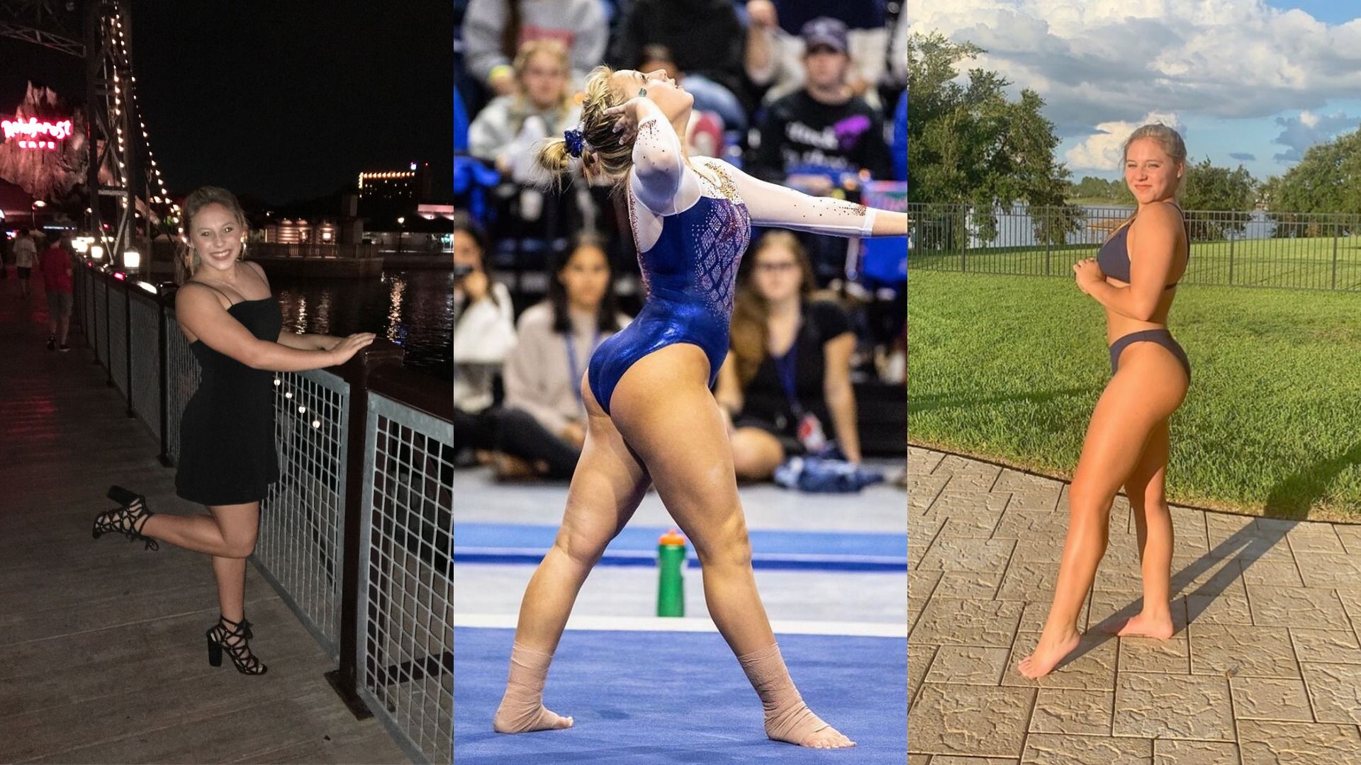 Blonde Gator | Scrolller