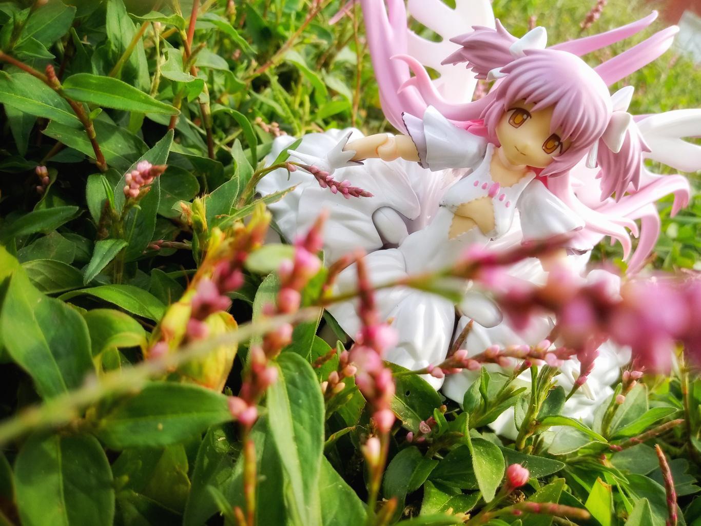 BLOOM. 🌷 | Scrolller