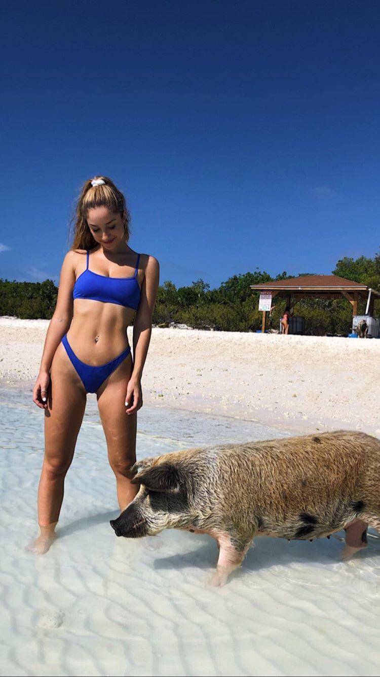 Blue bikini and a pig | Scrolller