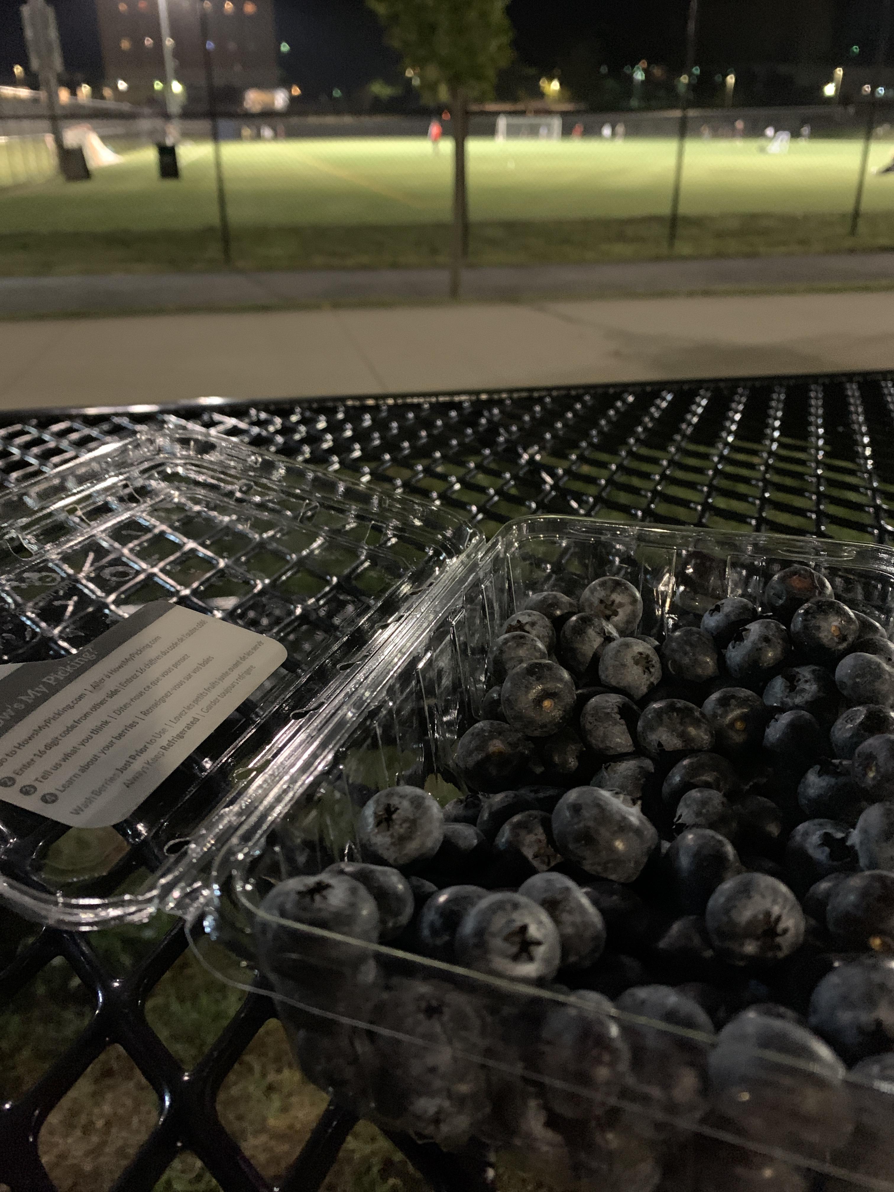 Blueberries at night taste better | Scrolller