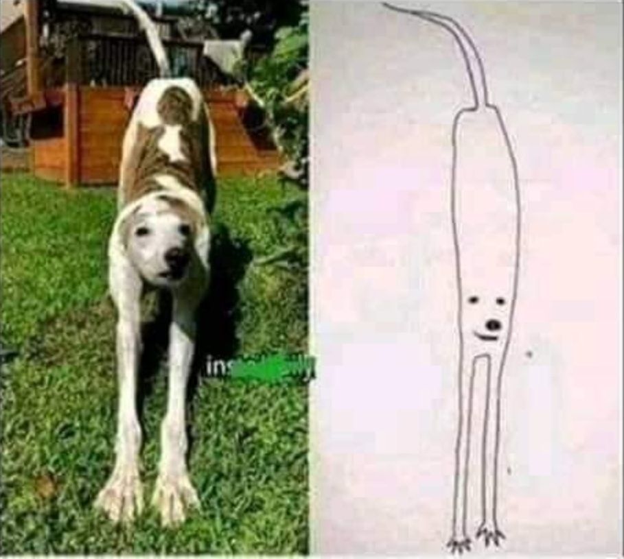 Blursed Dog | Scrolller