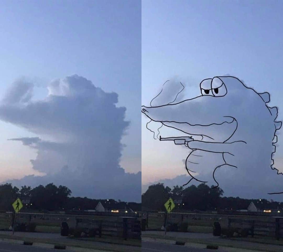 Blursed_gator gun | Scrolller