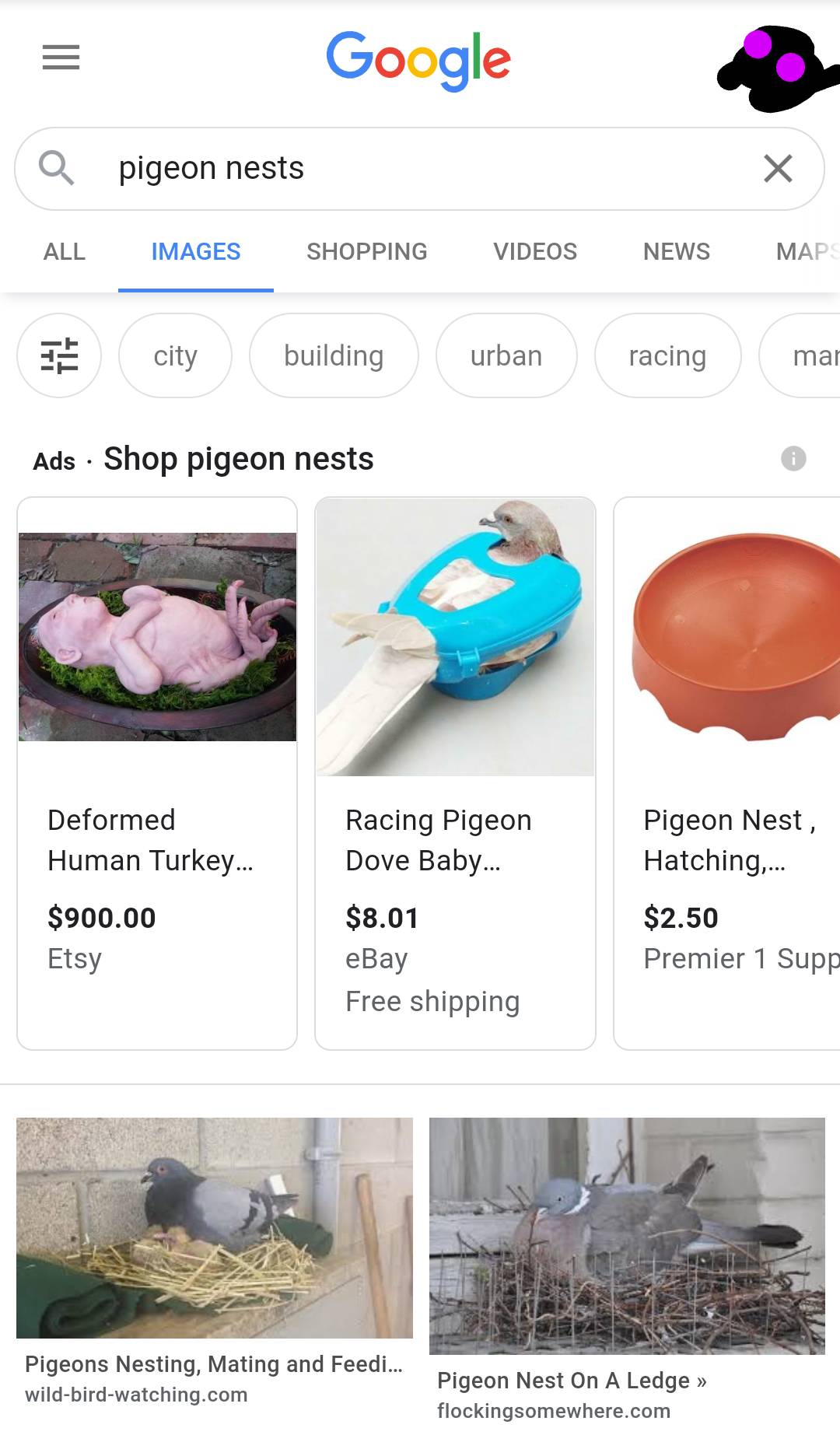 Blursed_Google_Search | Scrolller