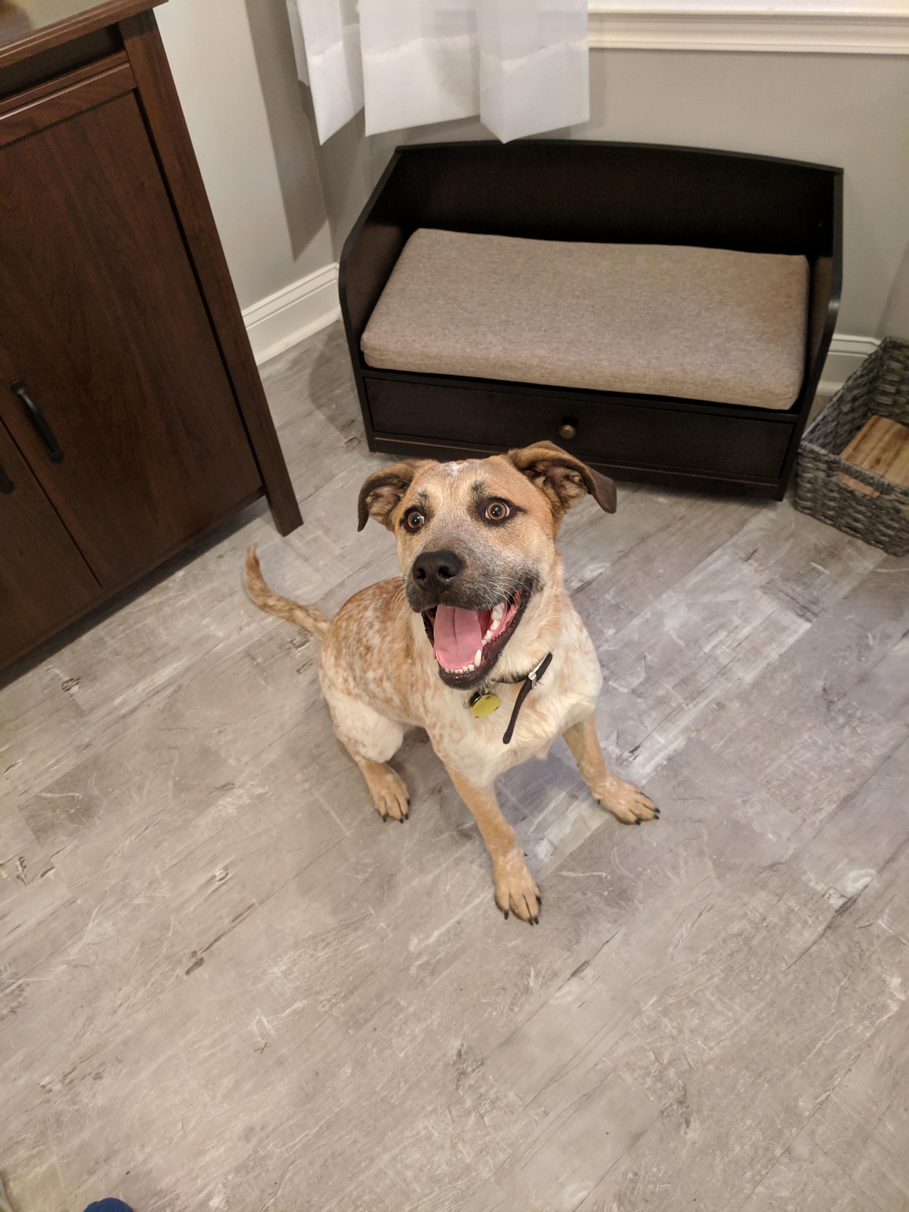 BMC Pointer Mix | Scrolller