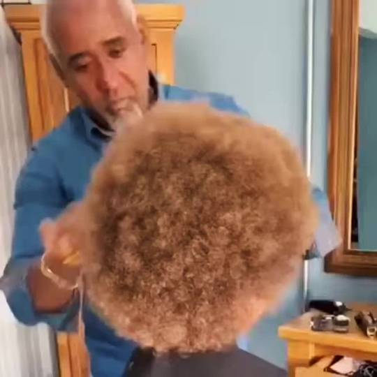 Bob Ross Approved | Scrolller