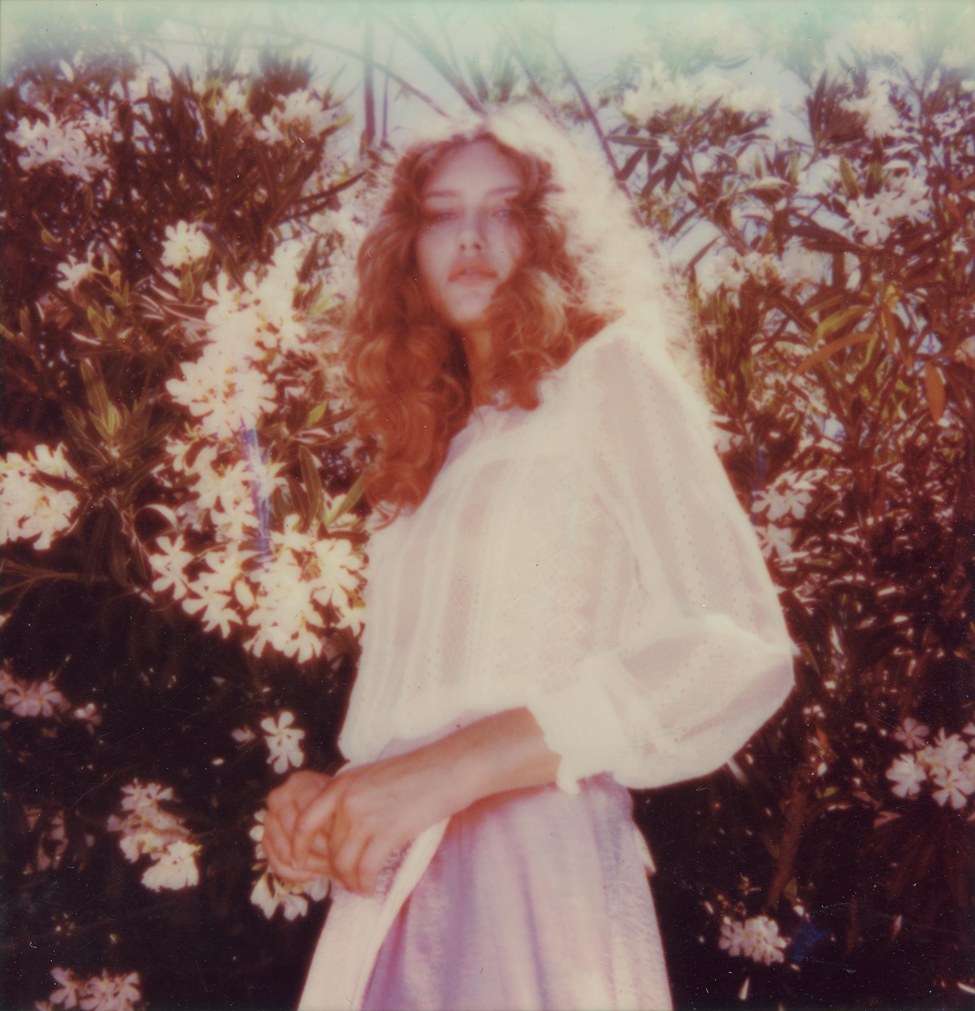 Bomb Voyage Monsieur Mr incroyable! | Spectra | Scrolller