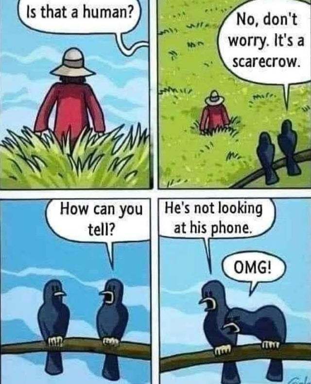 Boomer 100 | Scrolller