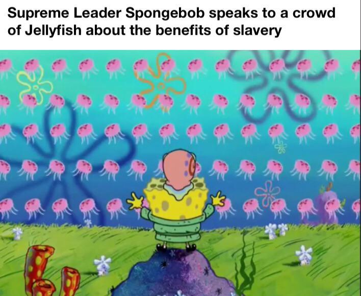 Bow down to our Supreme Leader! | Scrolller