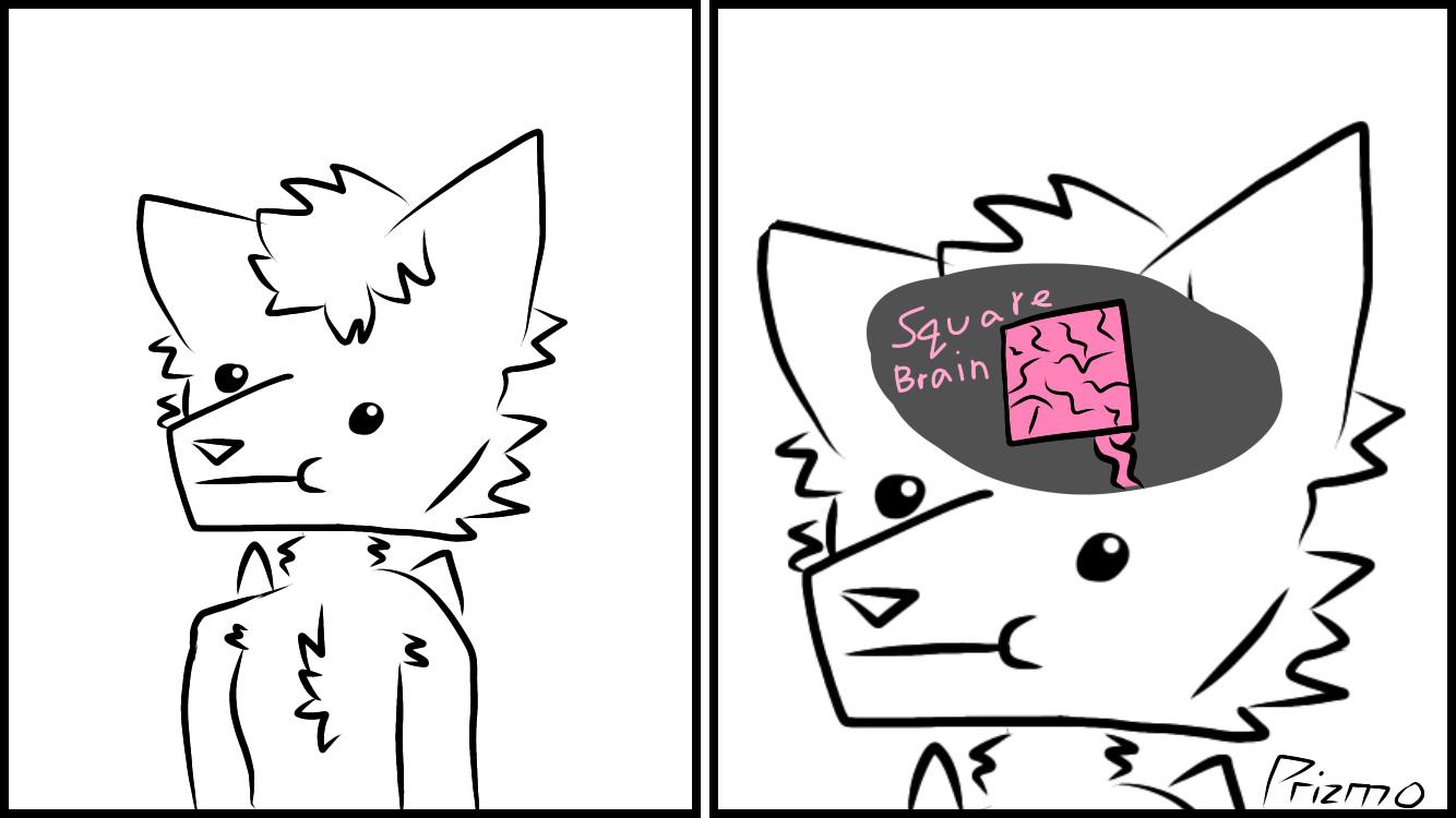 Brain_irl | Scrolller