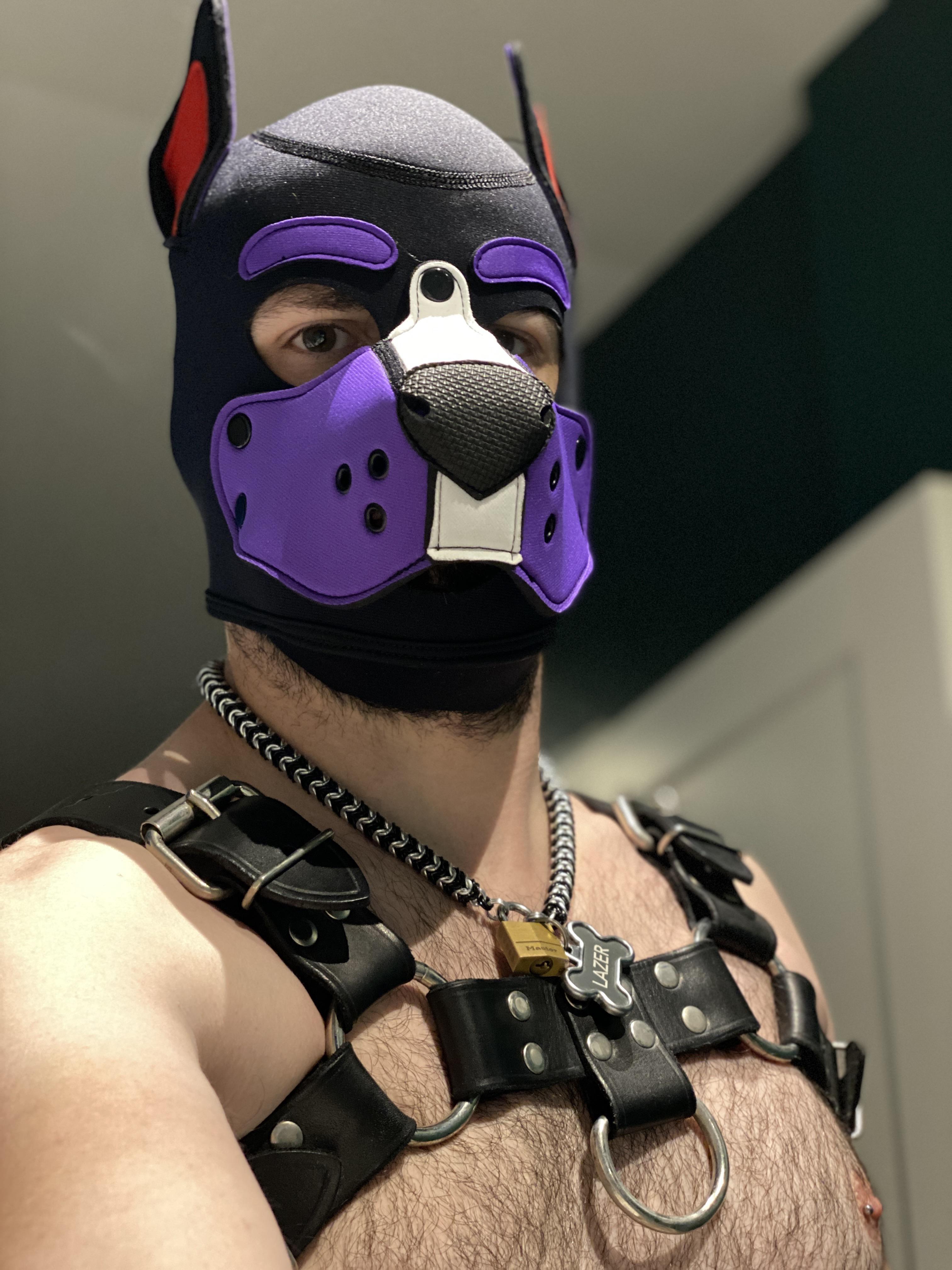 Brand new pup hood! | Scrolller