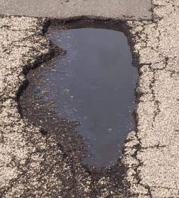 Brand New State Seal for Illinois | Scrolller