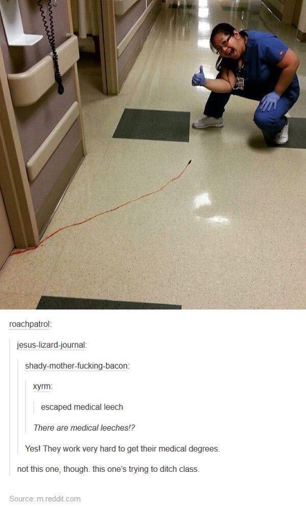 Breaching containment | Scrolller