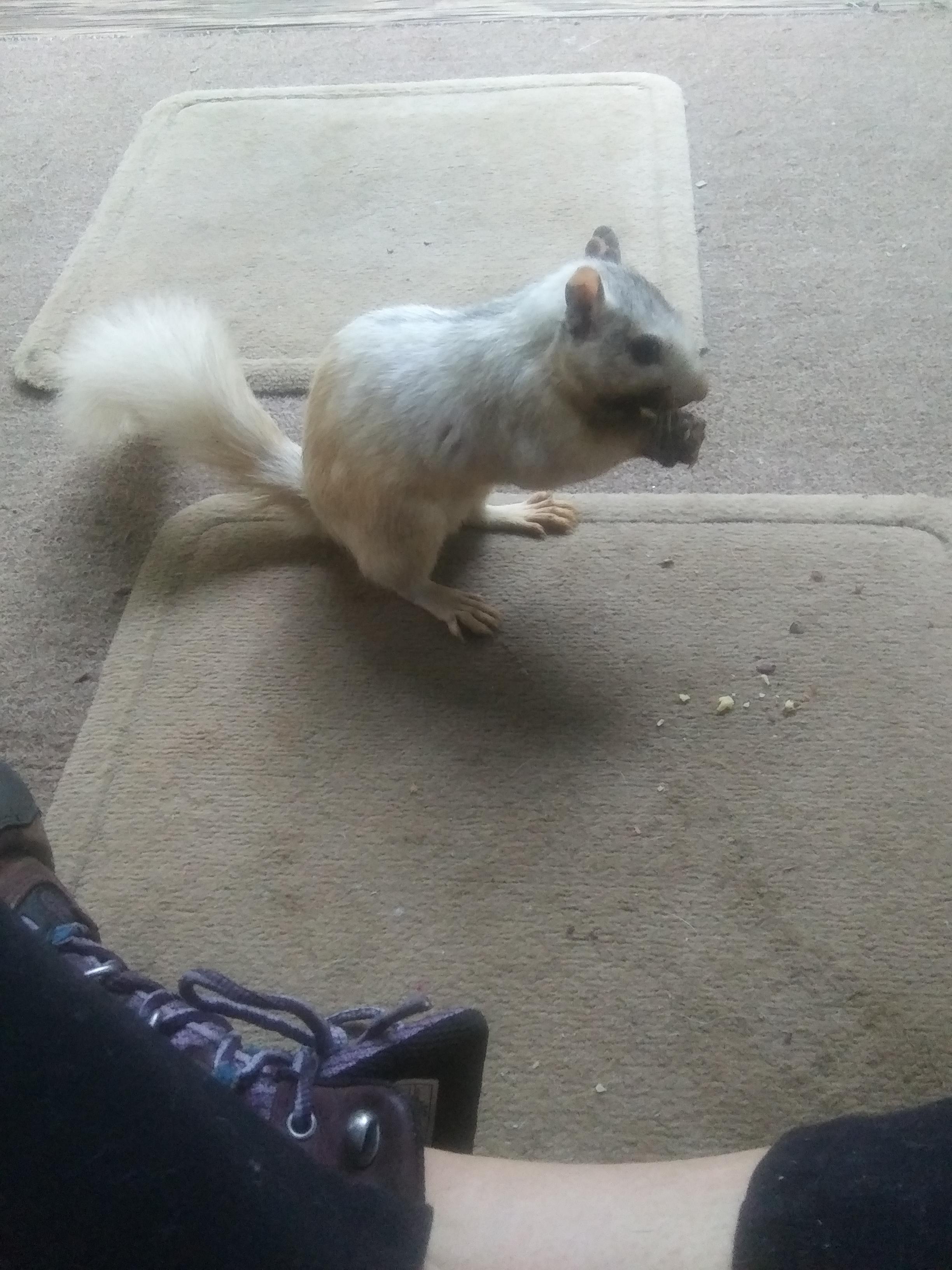 Breakfast date with little Claudia | Scrolller