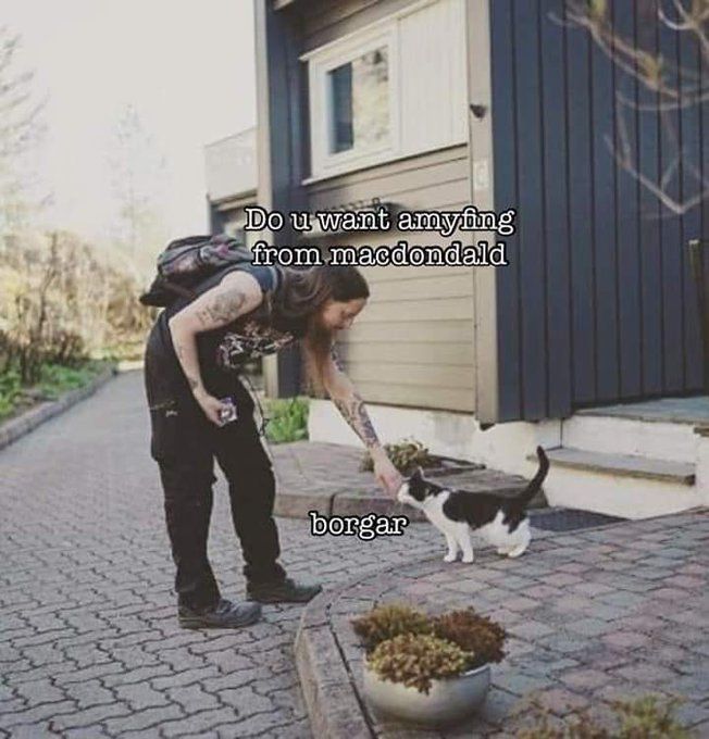 bring borgar | Scrolller