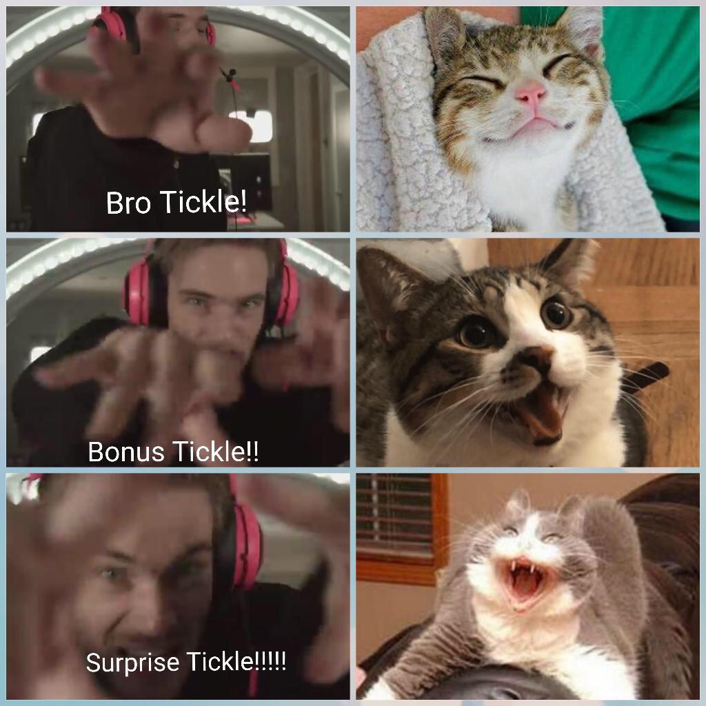 bro tickle | Scrolller