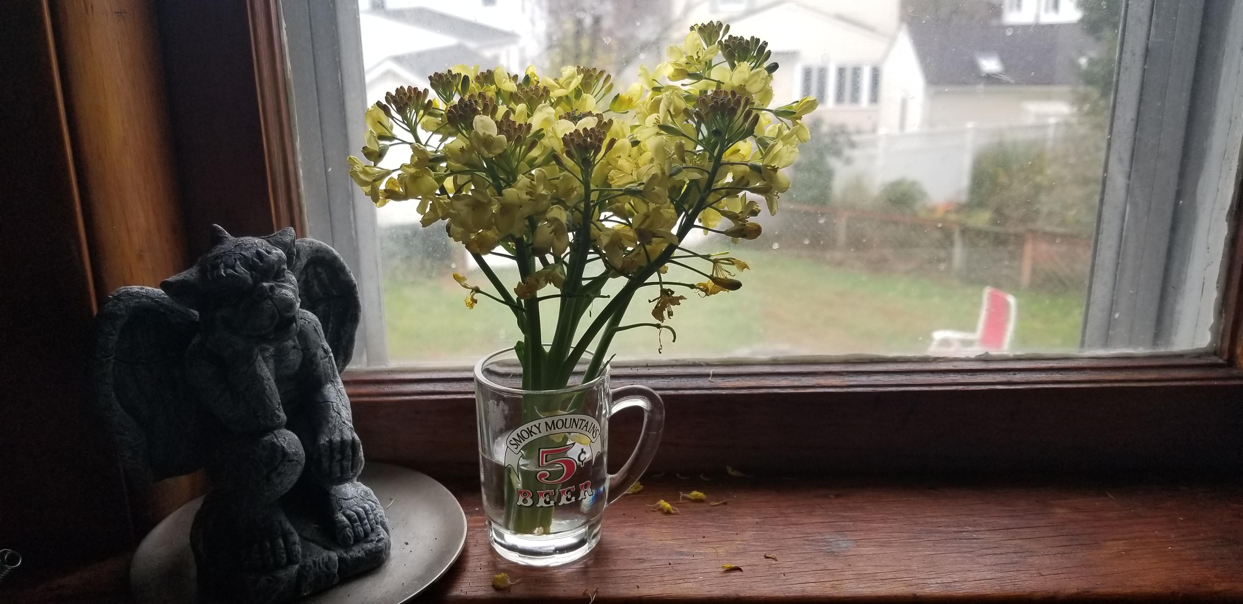 Broccoli | Scrolller