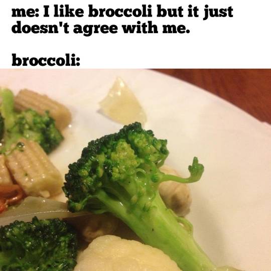 Broccoli make tummy go brr. | Scrolller