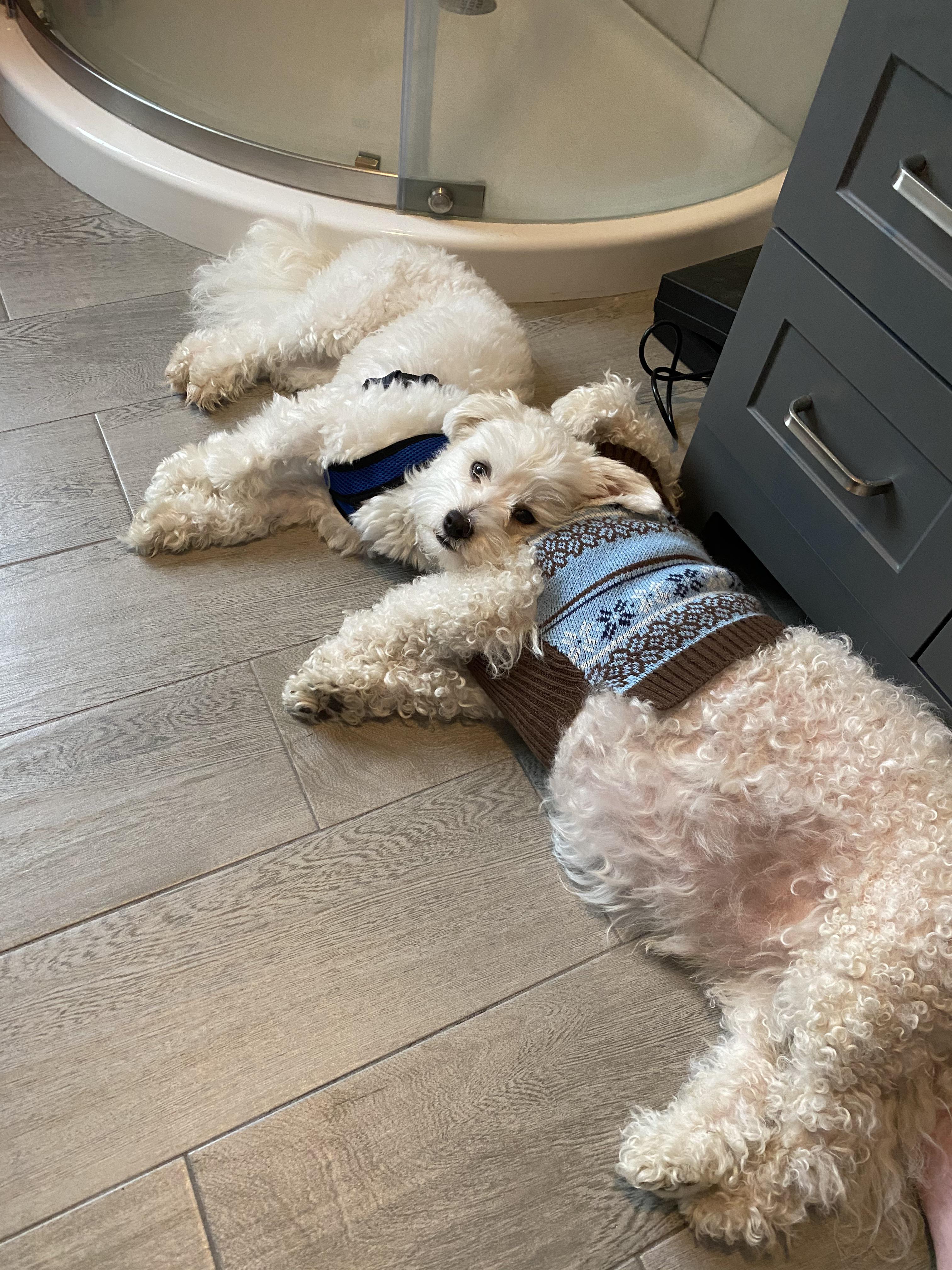 Brotherly Love | Scrolller