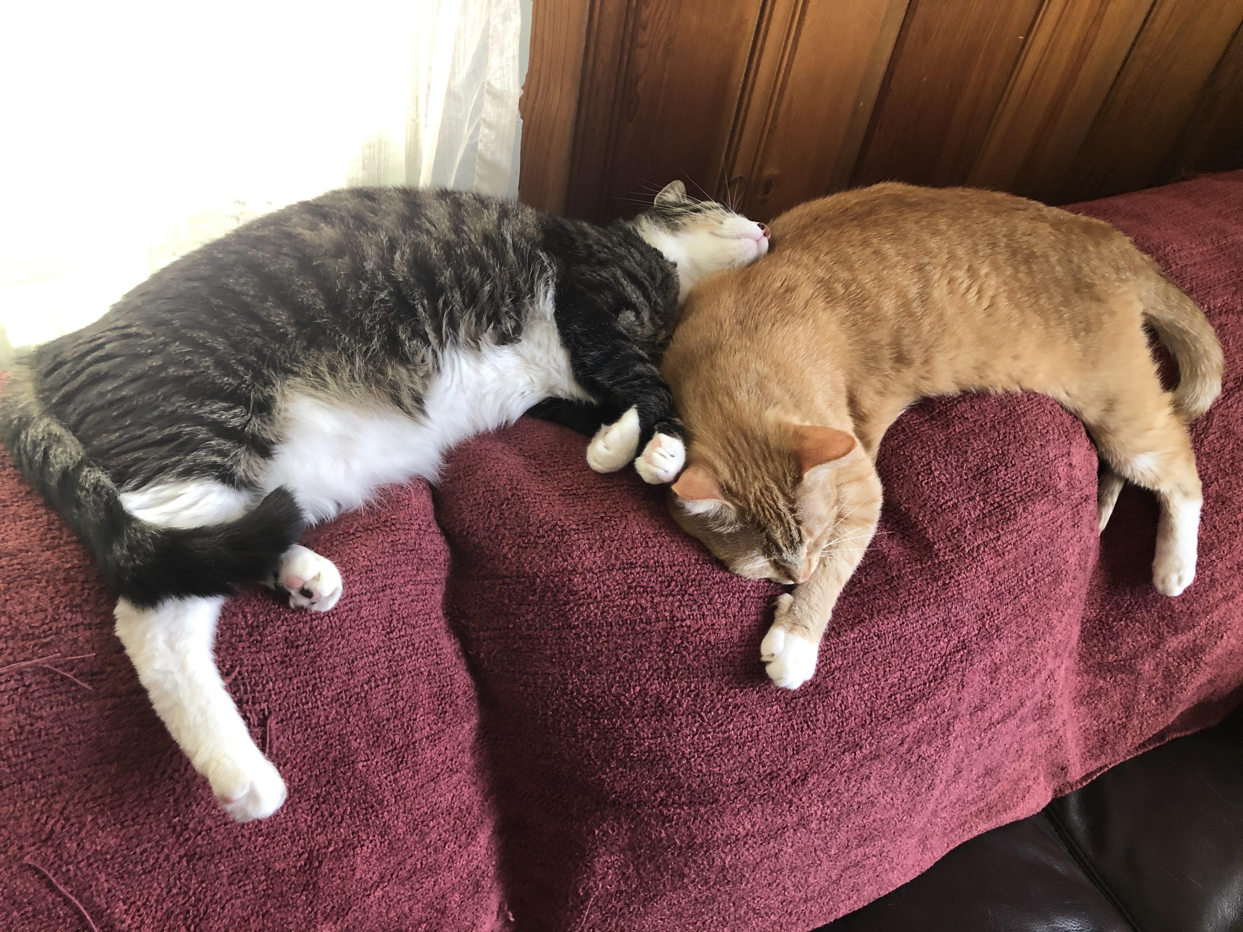 Brothers and best friends | Scrolller