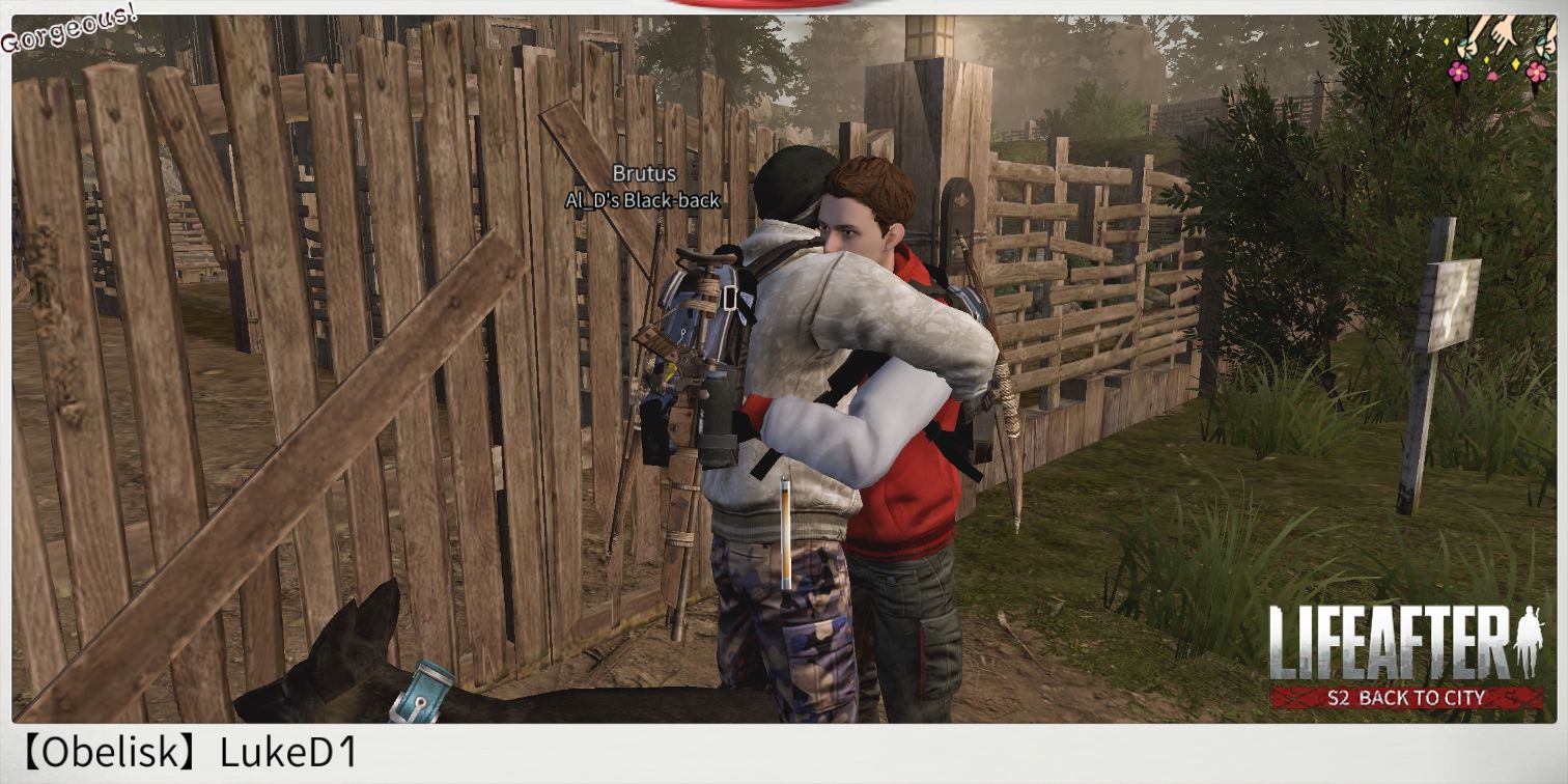 Brothers finally become roomies!! | Scrolller