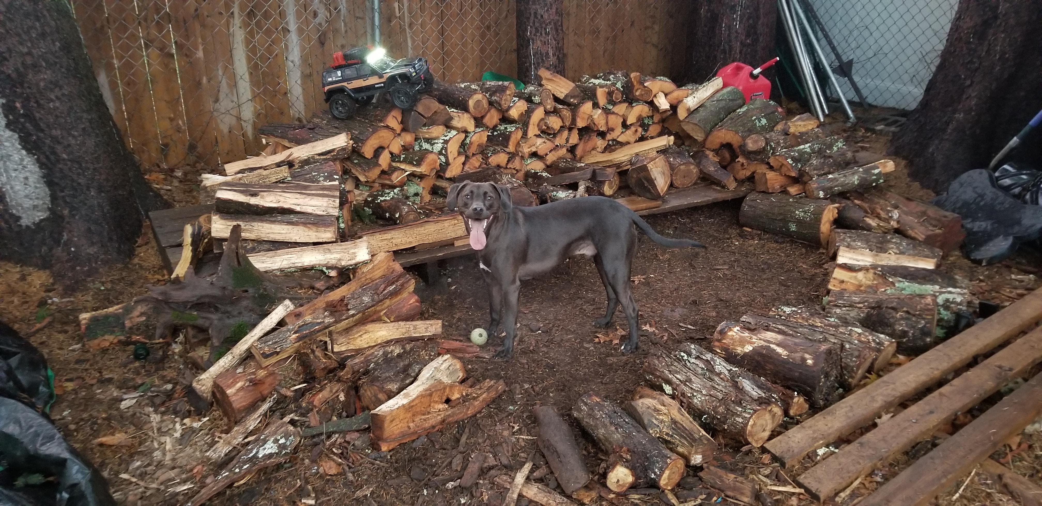 Bubba's ring of death!!! | Scrolller