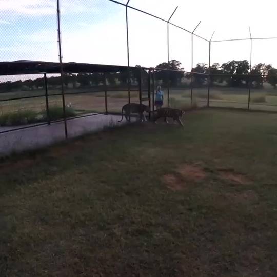 Bubble bath taps | Scrolller