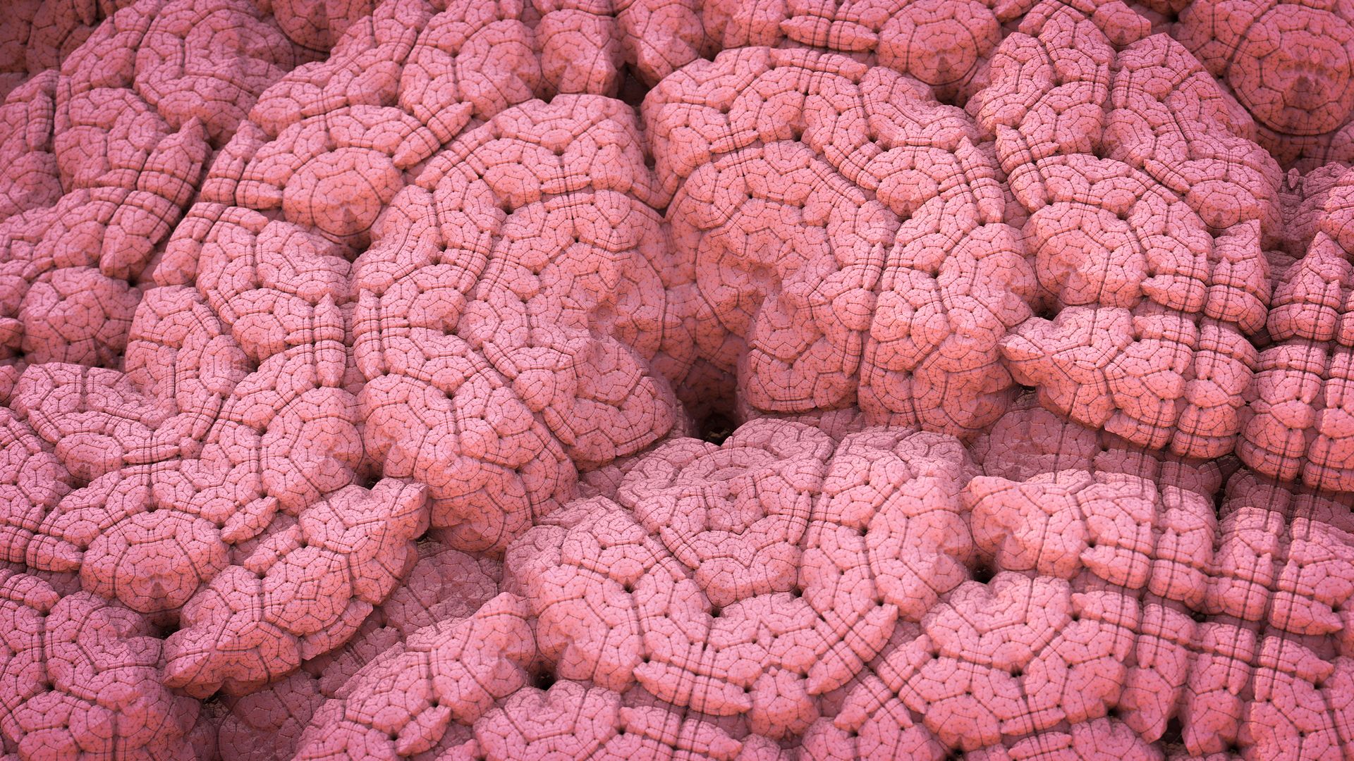 Bubblegum Love [1920x1080] | Scrolller