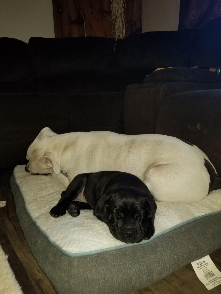 Buddies now | Scrolller